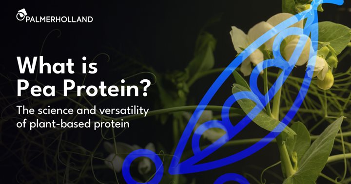 What is Pea Protein? The Science and Versatility of Pea Protein ...